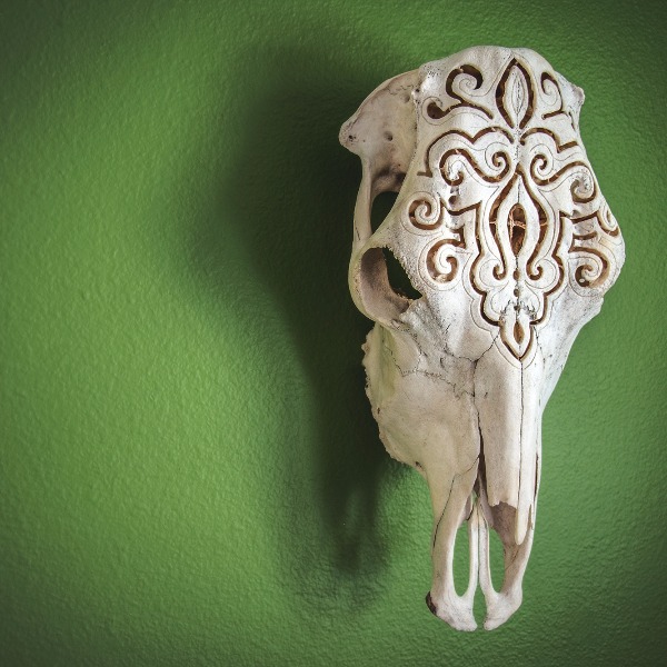 Brush + Bone Designs - Denver - at RAWartists.com