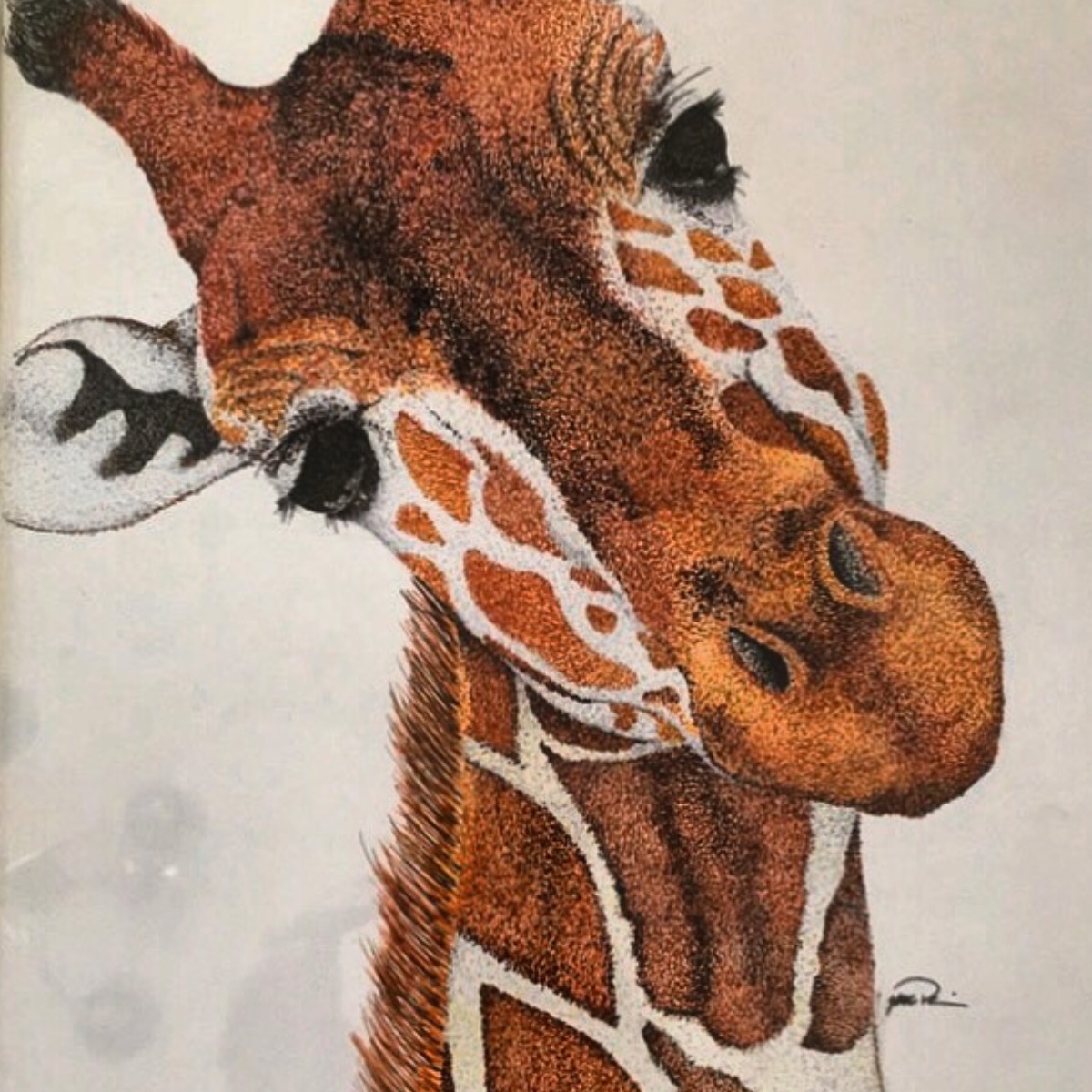 Jesse Perrin - Brisbane - at RAWartists.com